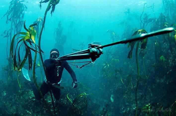 Spearfishing courses | Spearfishing.co.uk