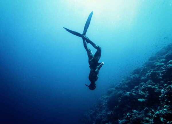Advanced freediving course