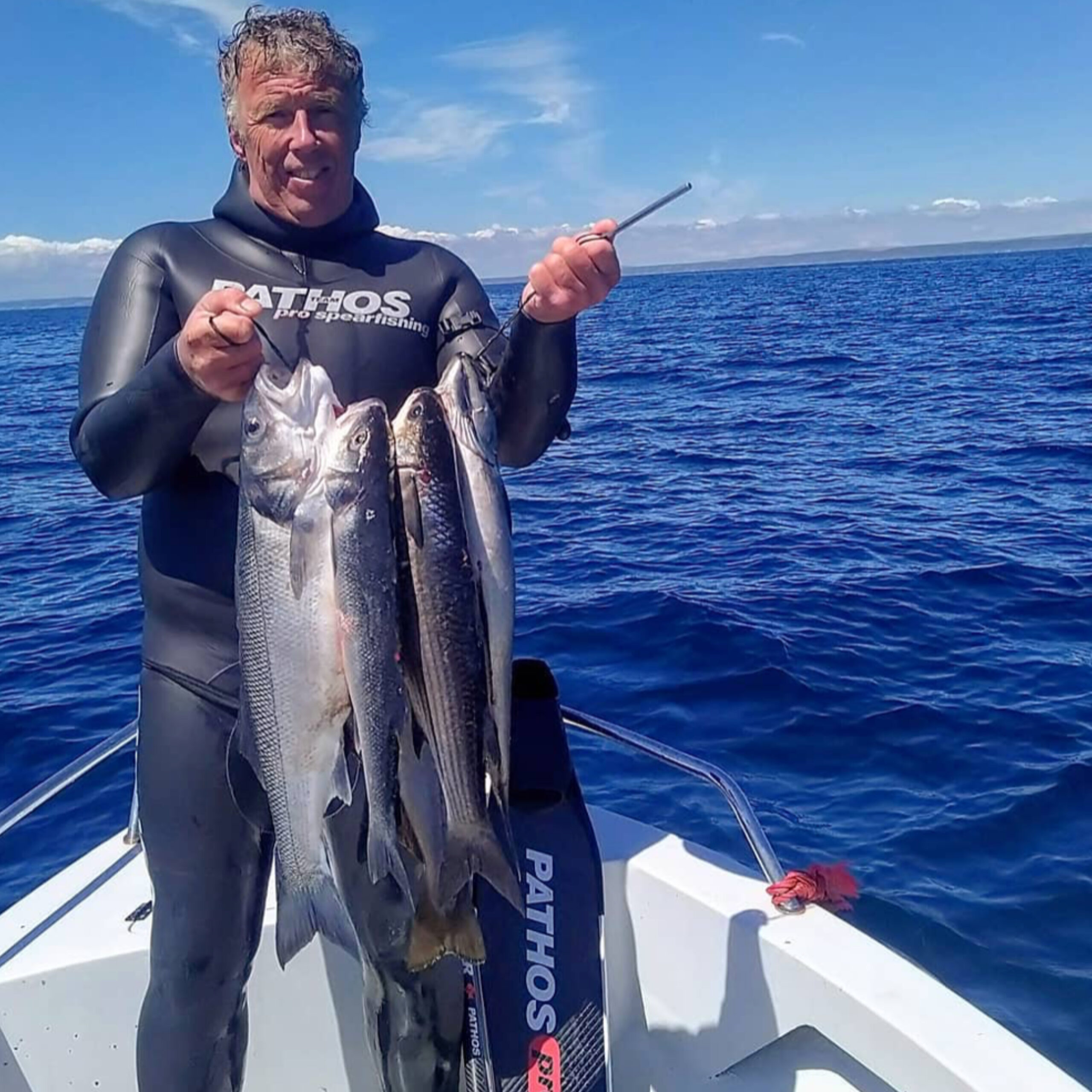 Spearfishing in the UK - a species guide | Spearfishing UK