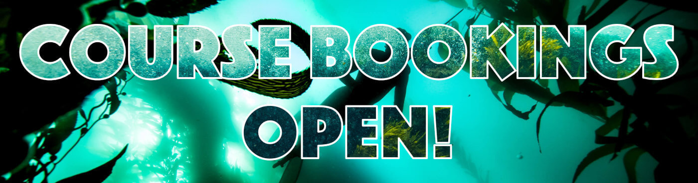 Spearfishing UK | UKs Largest Spearfishing Gear Store - Speargun heaven